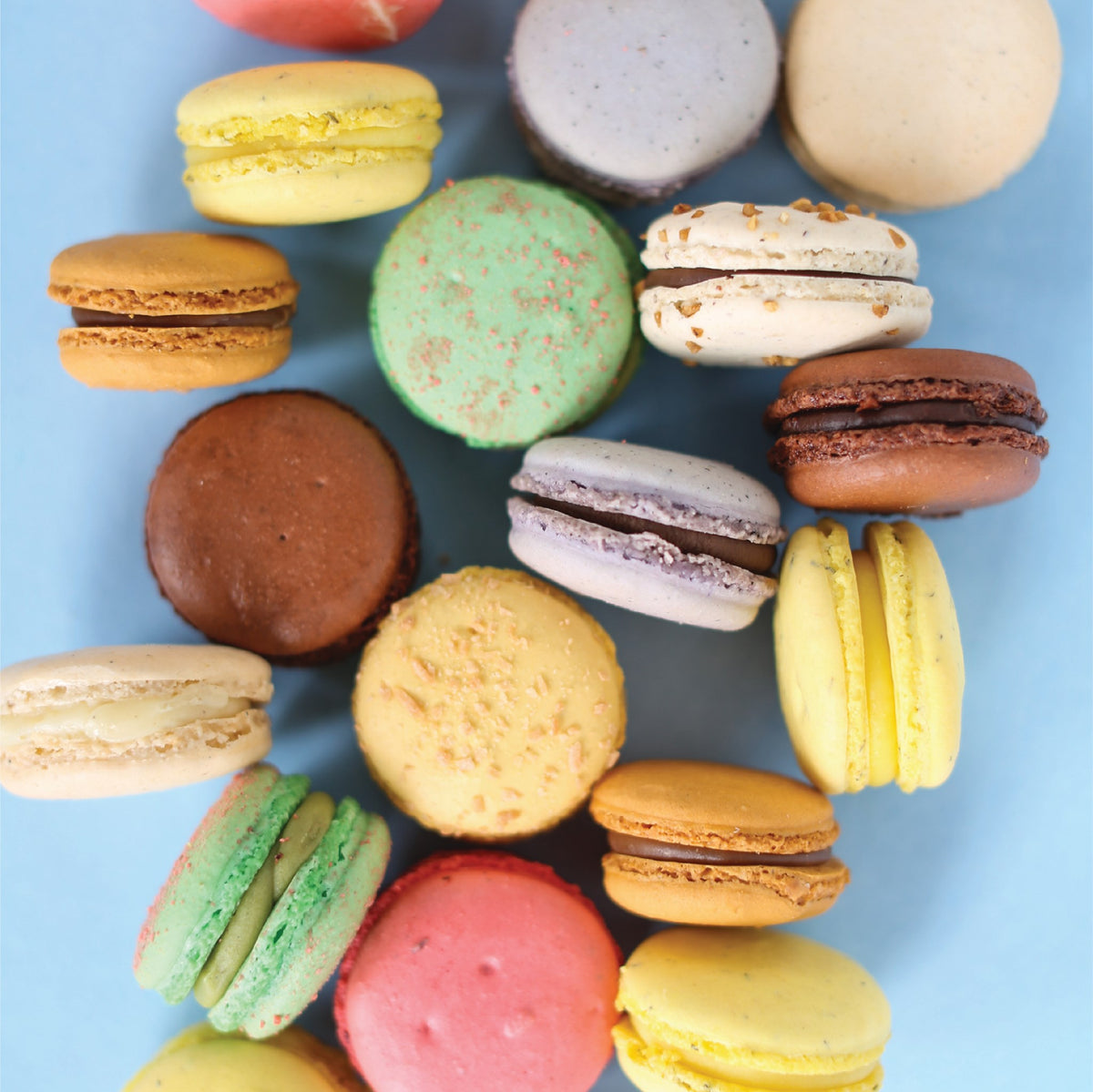 Macaron – YUM Bakery Calgary
