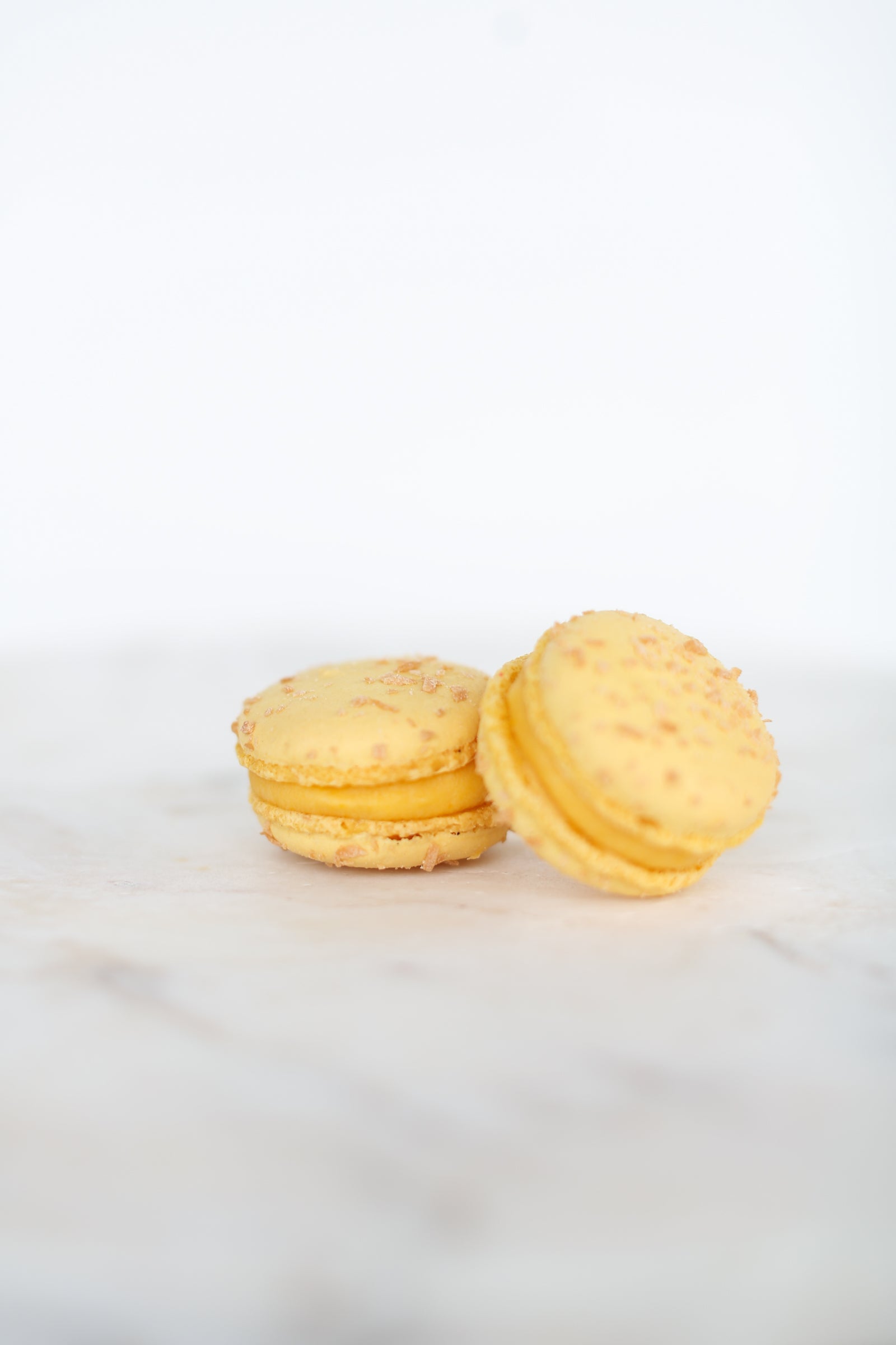 Macaron – YUM Bakery Calgary